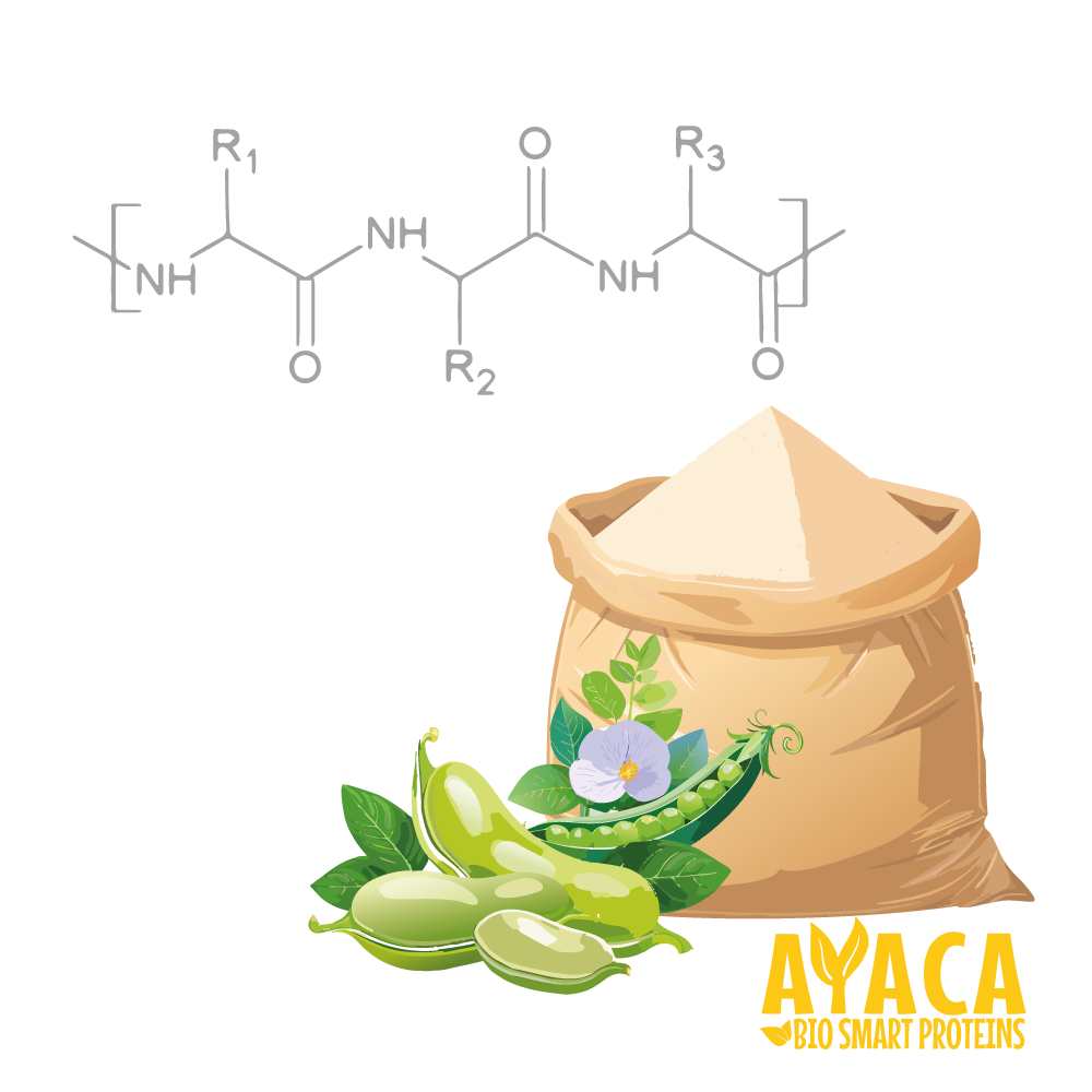 AYACA Bio Smart Proteins (blend of pea and faba bean protein ...
