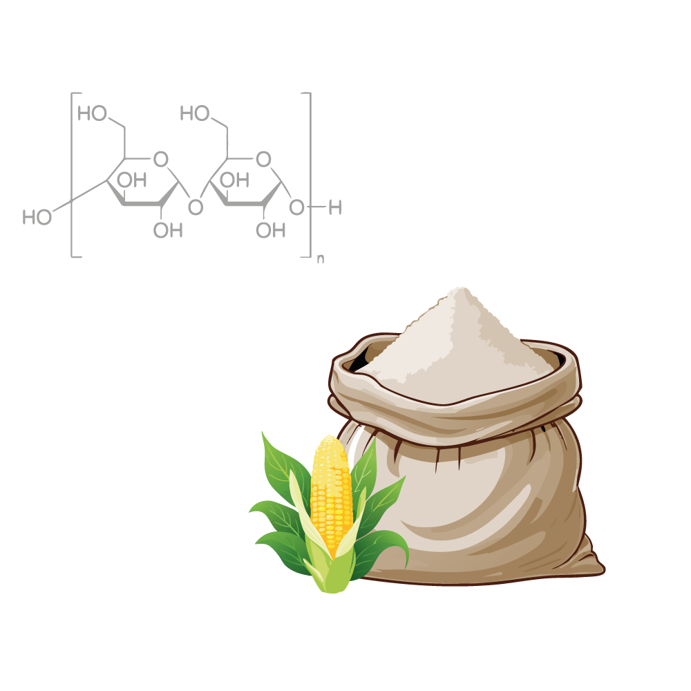 Native Maize Starch – AUSTRION (EN)