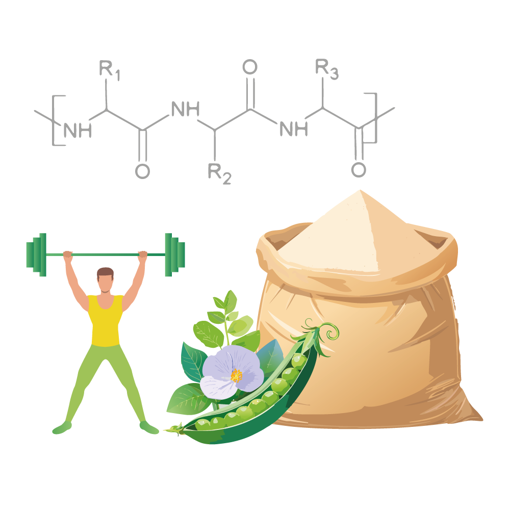 Pea Protein Concentrate Powder – AUSTRION (EN)