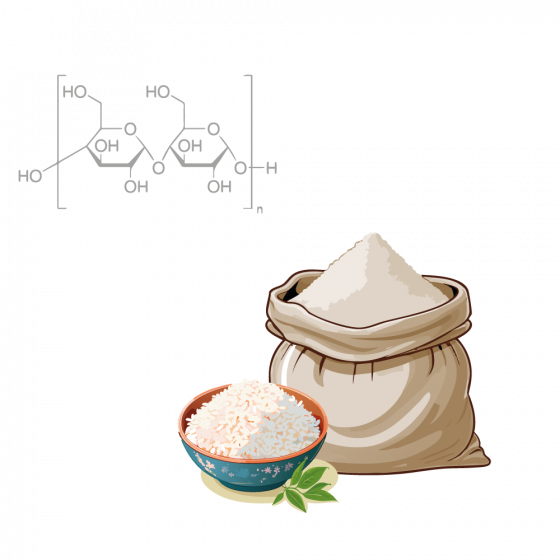 Native Rice Starch – AUSTRION (EN)