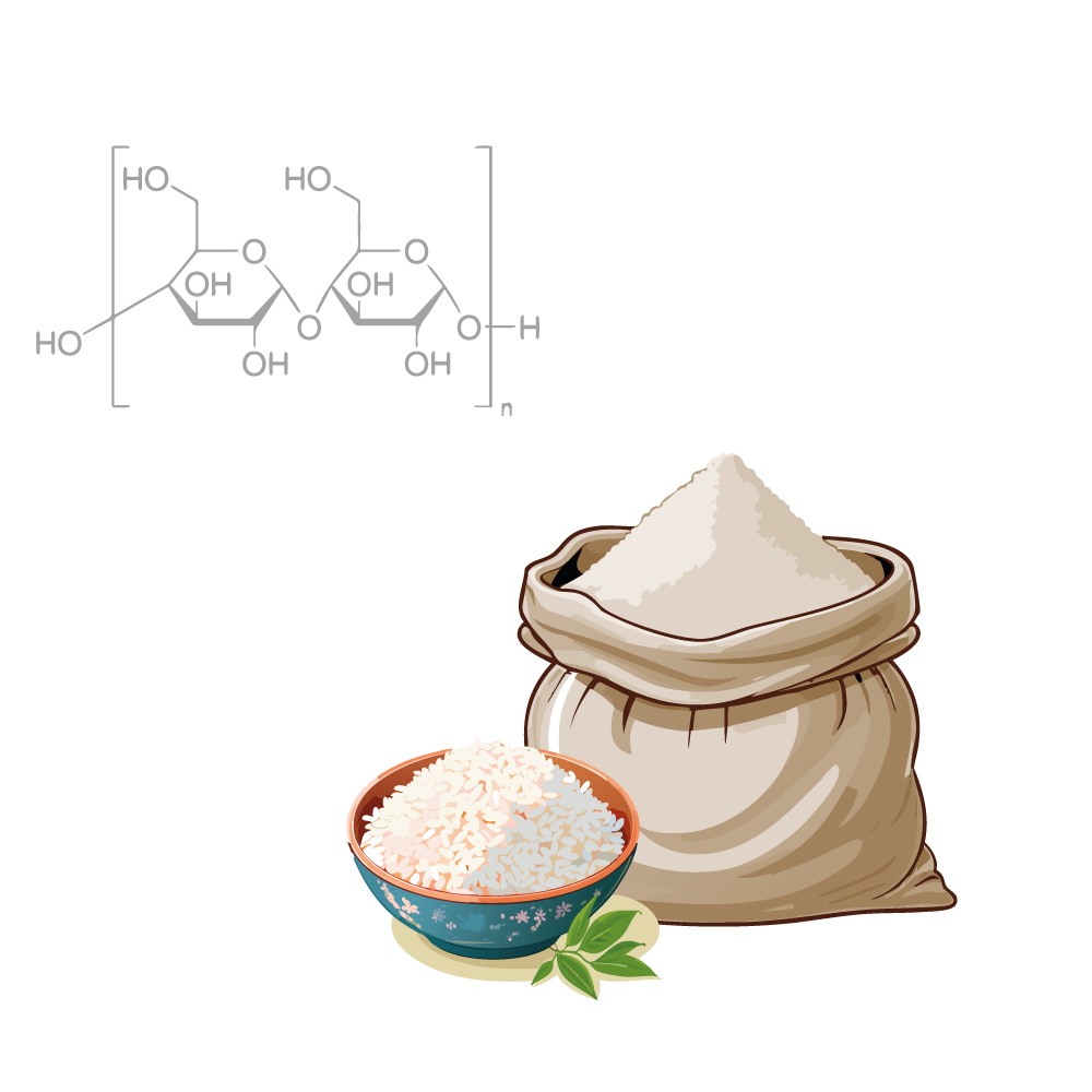 Native Rice Starch – AUSTRION (EN)