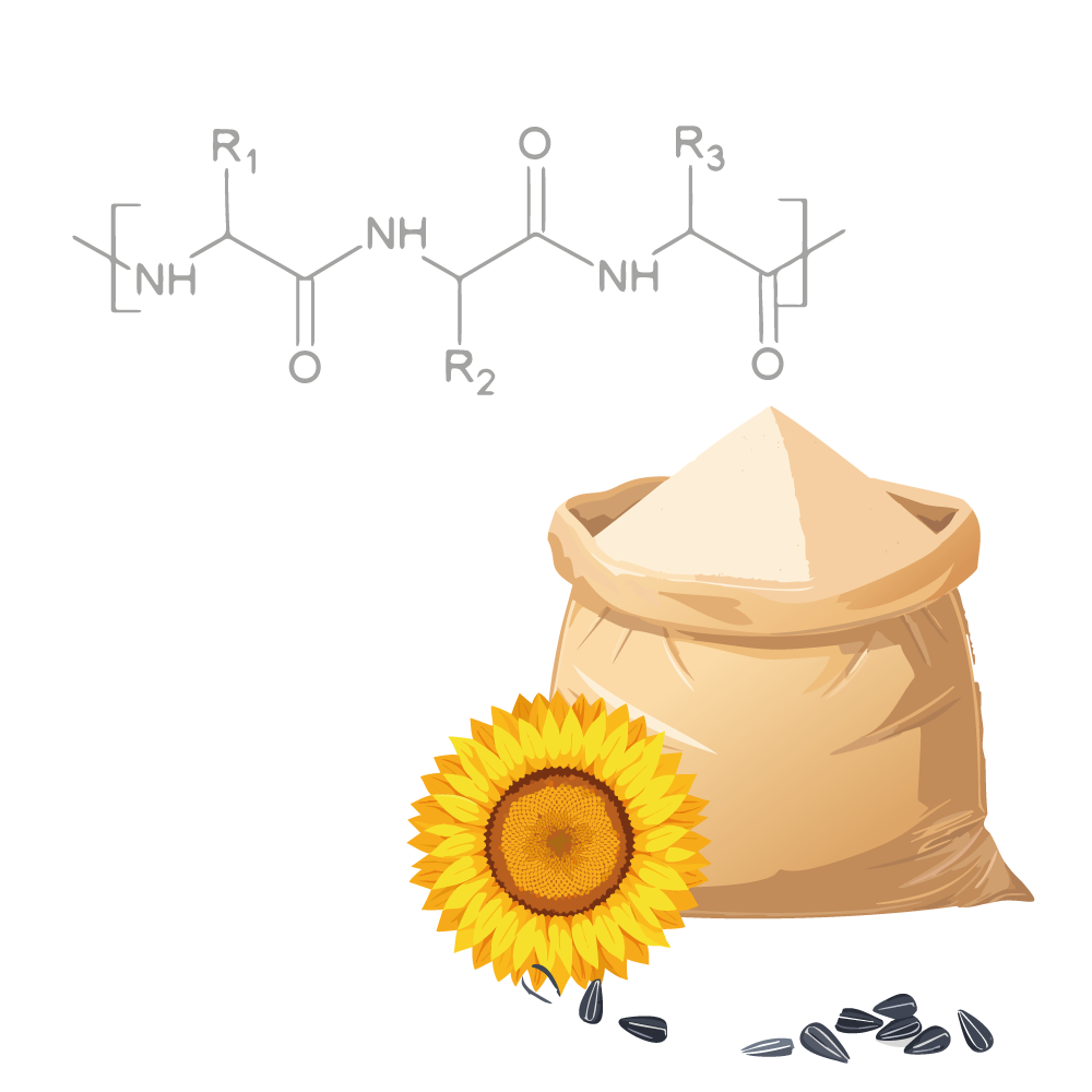 Sunflower Protein Texturised – AUSTRION (EN)